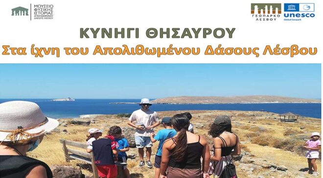 ΚΥΝΗΓΙ ΘΗΣΑΥΡΟΥ «Στα ίχνη του Απολιθωμένου Δάσους Λέσβου» - LesvosDays.gr